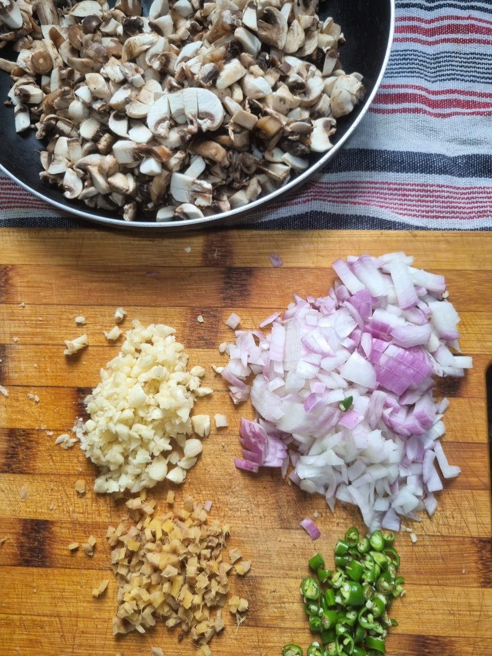 Mushroom Galouti Kabab – Reetika Mitra